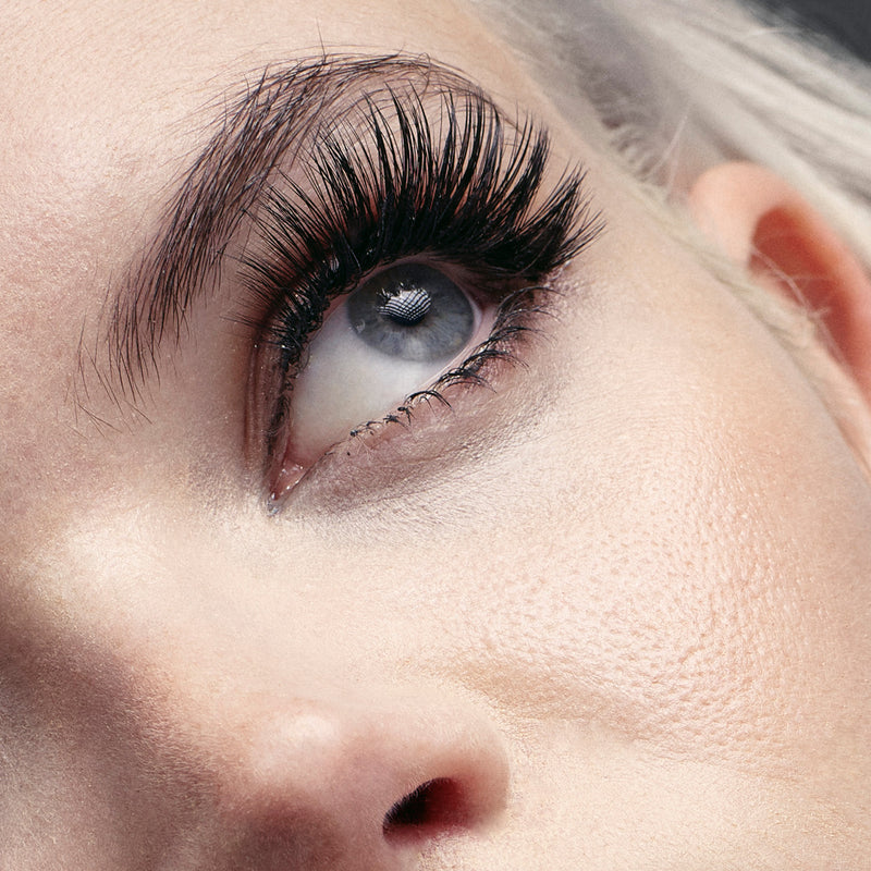 Defy - Premium Silk Lashes - Wink Kitten